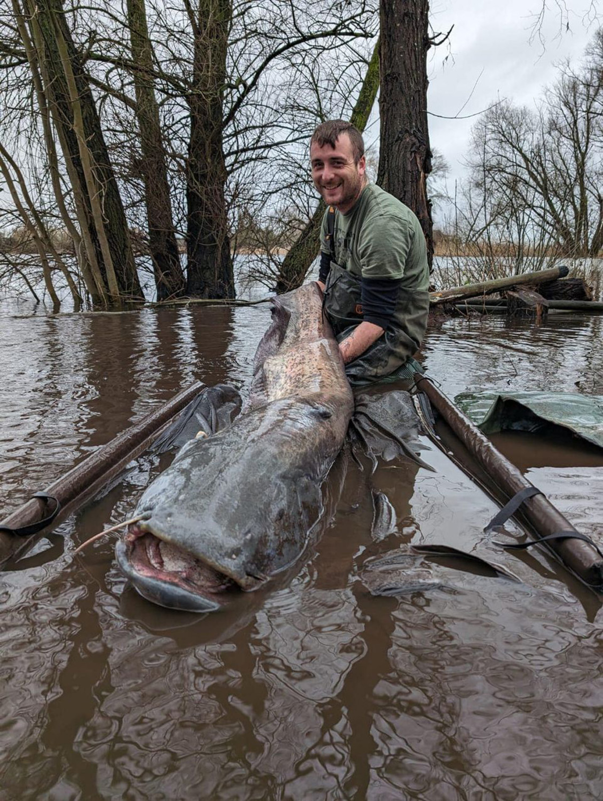 Willow Lake - Fenland Fisheries