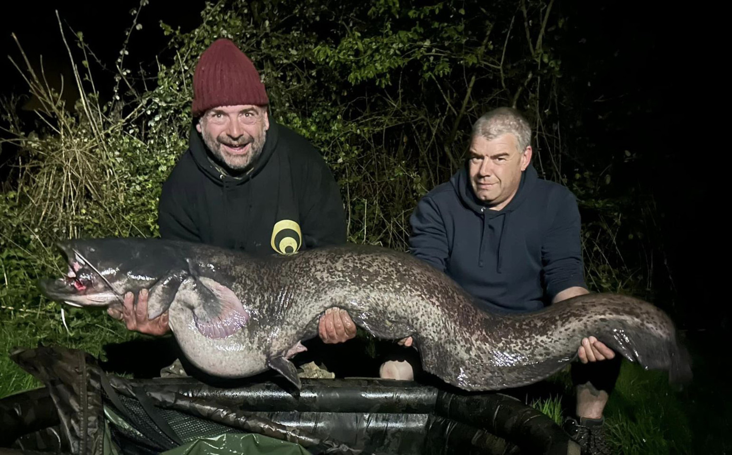 Willow Lake - Fenland Fisheries